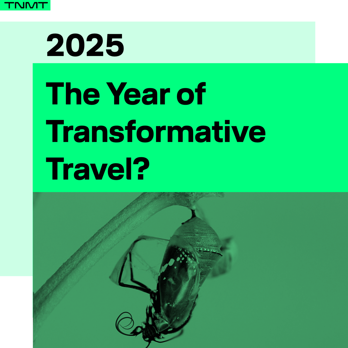 What will define the travel industry in 2025? - TNMT
